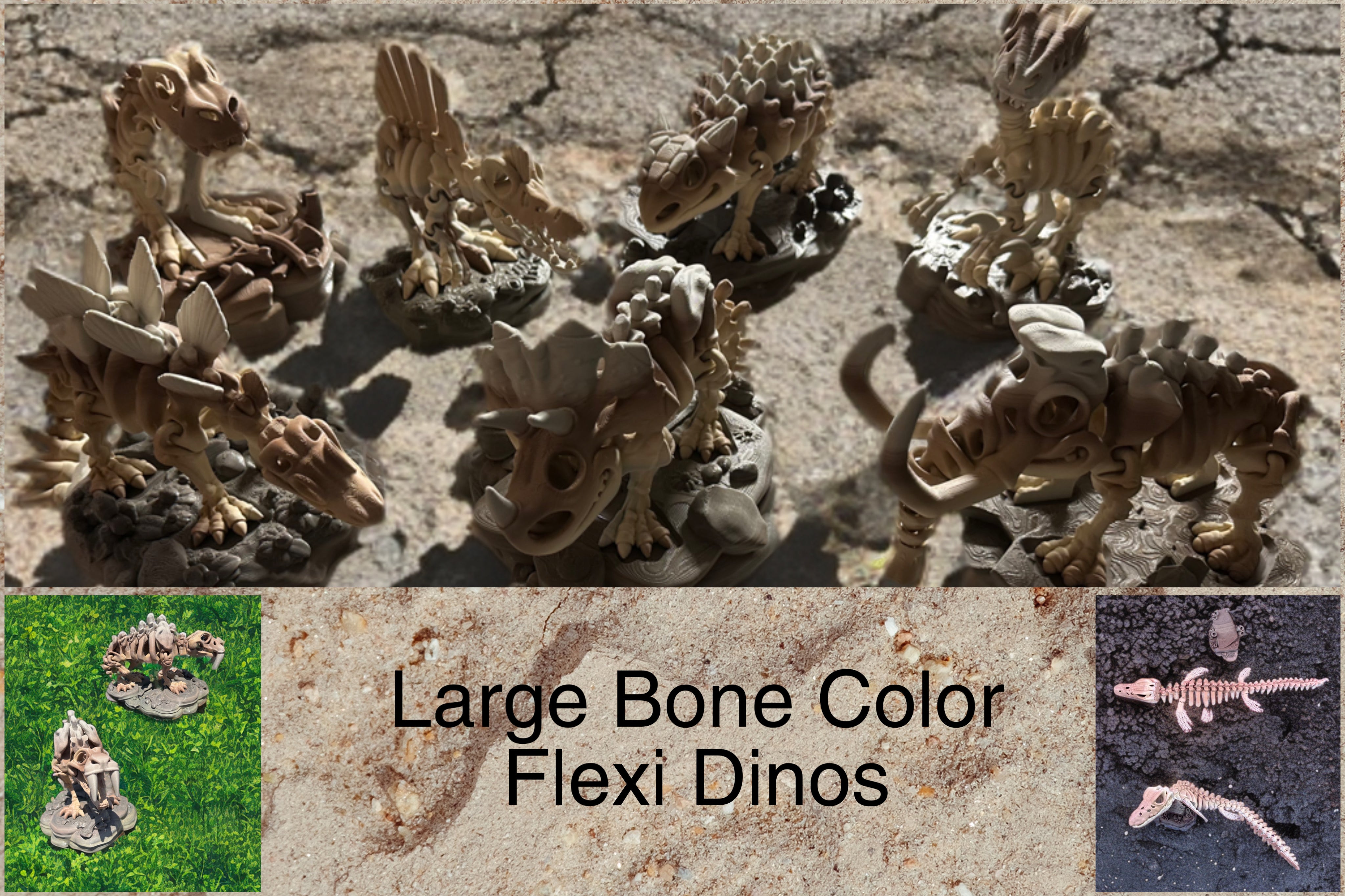 Articulated Skeleton Dinosaurs w/ Bases- Bone Color – Bento Creations 614